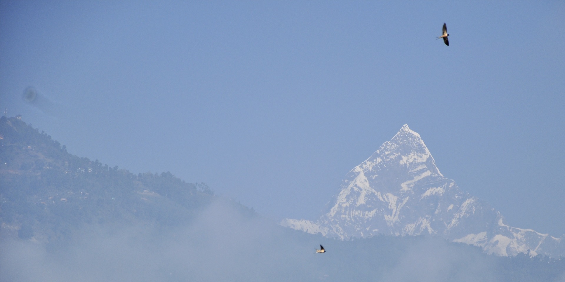 События — Pilot Babaji